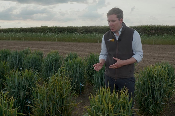 Frontier - Frontier Agriculture