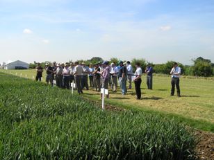 Frontier - Frontier Agriculture