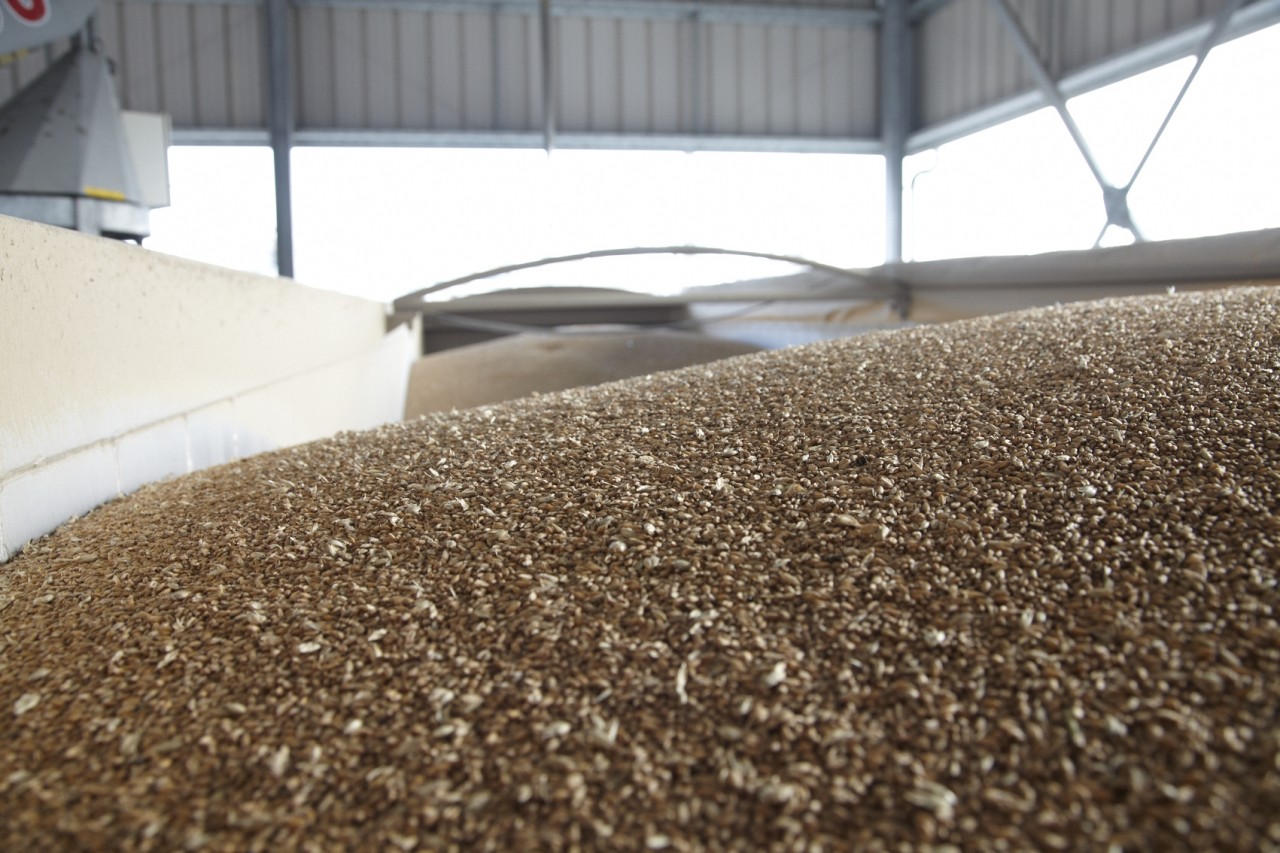 Market report - 31st October 2019 - Frontier Blog - Frontier Agriculture